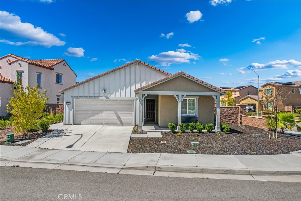 29101 Red Alder